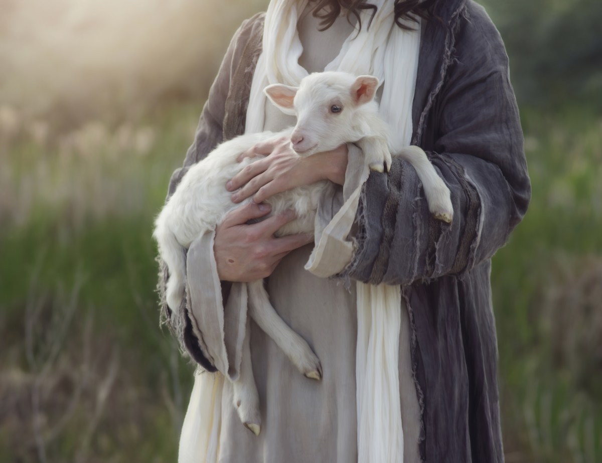 The Bummer Lamb – The Quiet Place with God